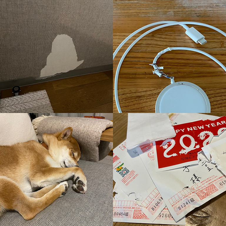 &Premium Mail No. 123 | & Premium Mail